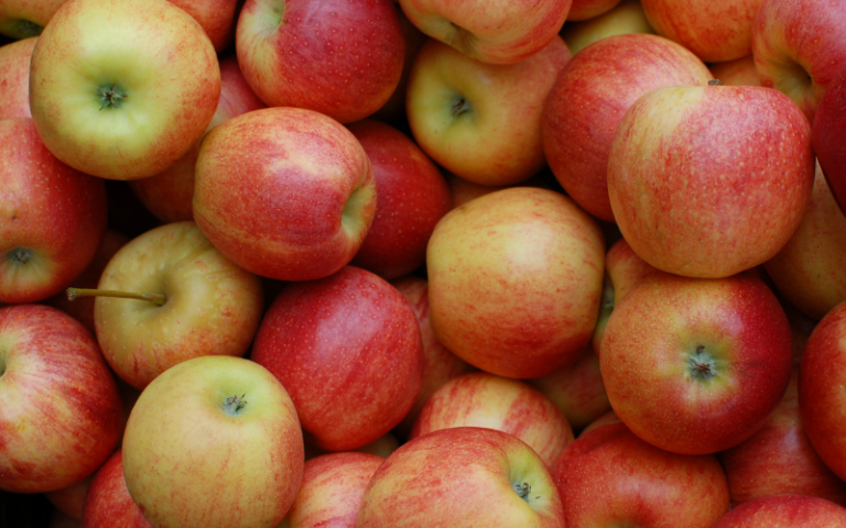 17 Obst, Gemüse und Früchte mit A (Liste)